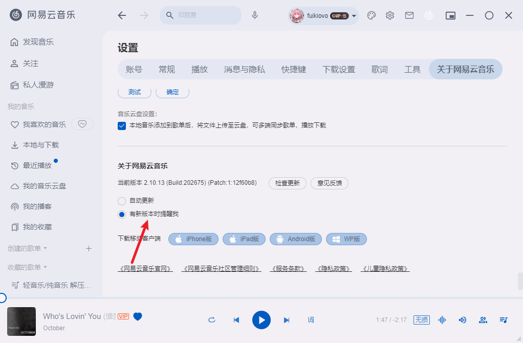 betterncm美化并优化网易云 - 苓の小站